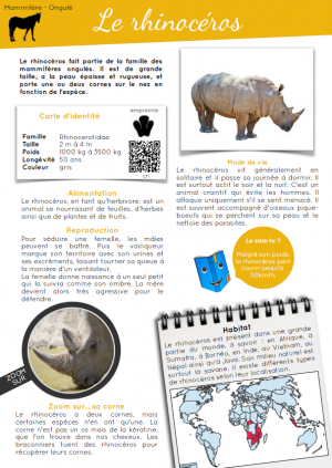 [Documentaire – pdf] Le rhinocéros – Rallye lecture en ligne