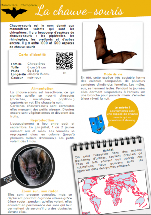 [Documentaire – pdf] La chauve-souris – Rallye lecture en ligne