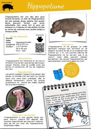 [Documentaires – pdf] L’hippopotame – Rallye lecture en ligne