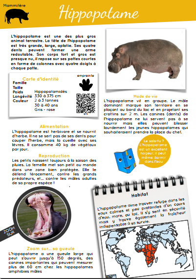 [Documentaires – pdf] L’hippopotame | Rallye lecture en ligne
