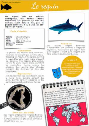 [Documentaire – pdf] Le requin – Rallye lecture en ligne
