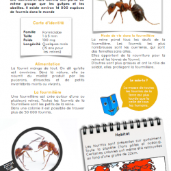 [Documentaire – PDF] Fourmi – Rallye lecture en ligne