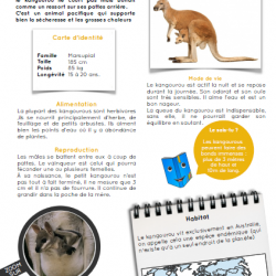 Rallye lecture en ligne – vos rallyes lecture numériques personnalisés